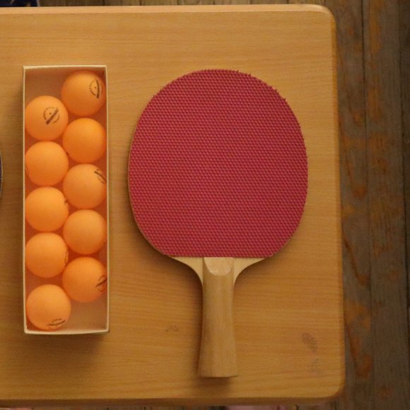 Harvard | Games | Two Ping Pong Paddles One Side Red The Other Purple ...